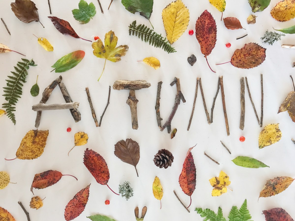 Twelve of the Best Autumn Activities for Families – Gail Anthea Brown