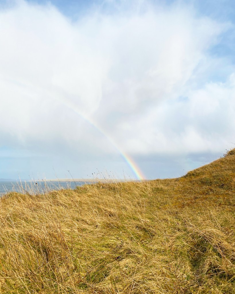 Hibernation Diaries: Geese, Orca and April’s Evening Diamond – Gail ...